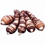 Kyoto Brand Products | Kyoyasai.kyoto